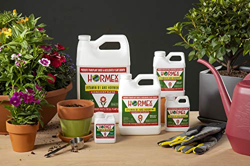 Hormex Vitamin B1 Rooting Hormone Concentrate - Rooting Hormone for Hydroponics, Aeroponics, Established Plants, Cuttings and More, Indoor and Outdoor Plant Growth Stimulator Concentrate - (8oz)