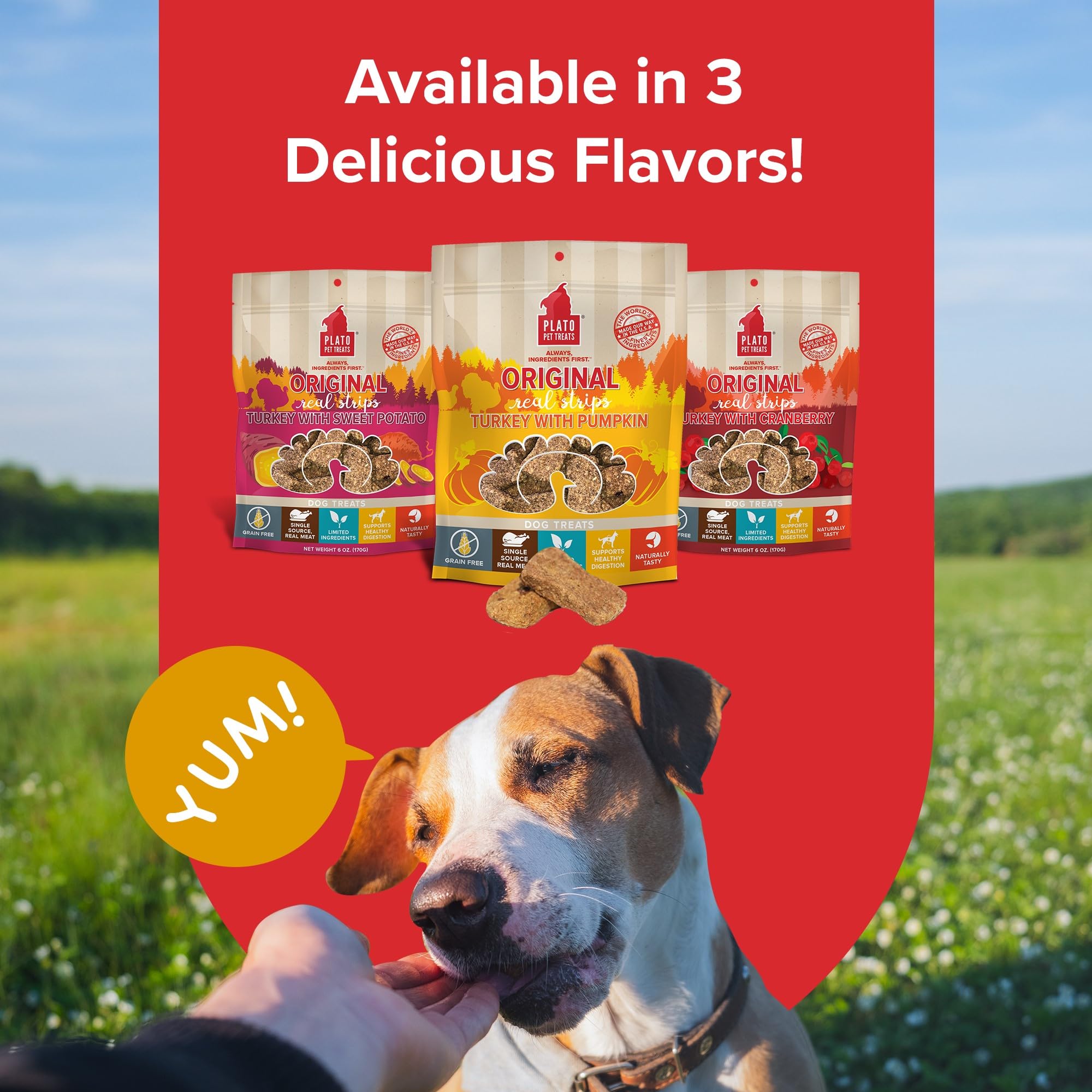PLATO Turkey Real Strips Natural Dog Treats - Real Meat - Air Dried - Made in the USA - Turkey & Pumpkin, 3 ounces