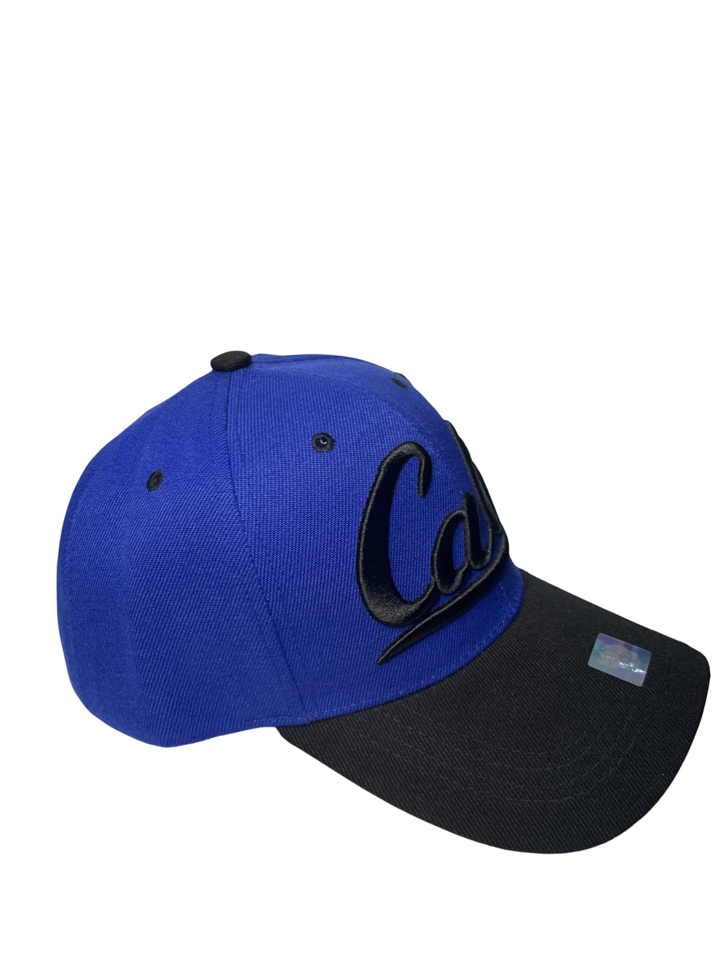 Embroidered Mens Womens Cap HAT Curved Bill Baseball California Republic Bear Blue