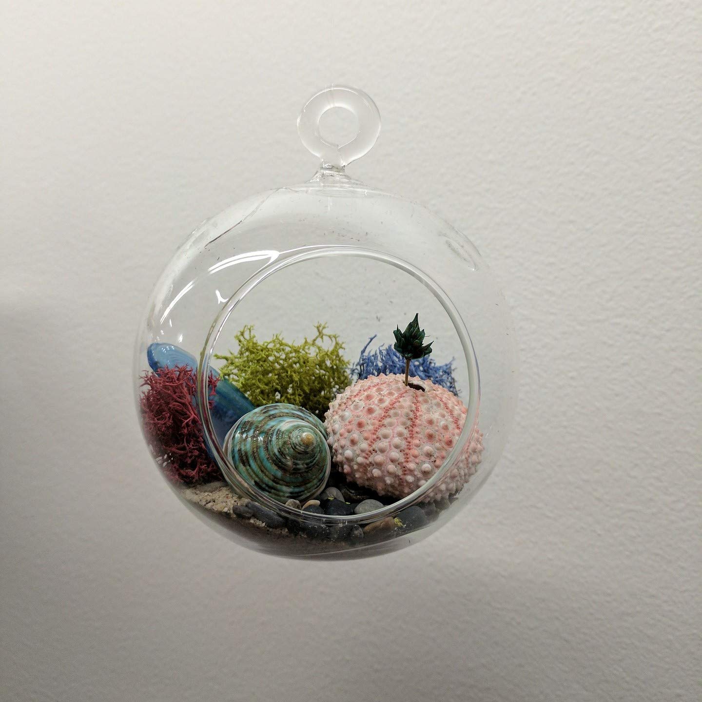 WGV Hanging Terrarium Globe, Width 8", Height 9", DIY Air Succulent Planter, Clear Glass Vase Orb with Flat Bottom, Candle Holder for Windowsill Outdoor Garden Decor, 6 Pieces Bulk