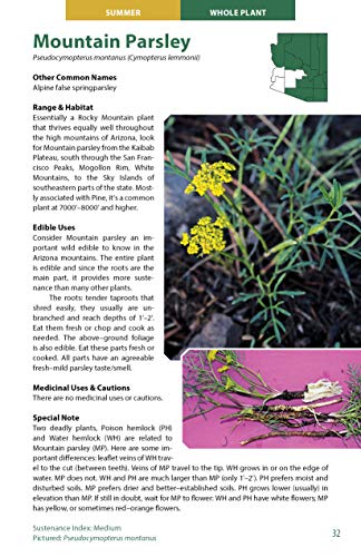Wild Edible Plants of Arizona