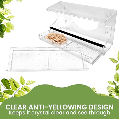 Large Clear Window Bird Feeder - Extended House with Strong Suction Cups - Steel Perch Sliding Feed Seed Tray - See Through Transparent Big Birdhouse - Wild Finch, Cardinal, Blue Jay - Cool Cat Gift
