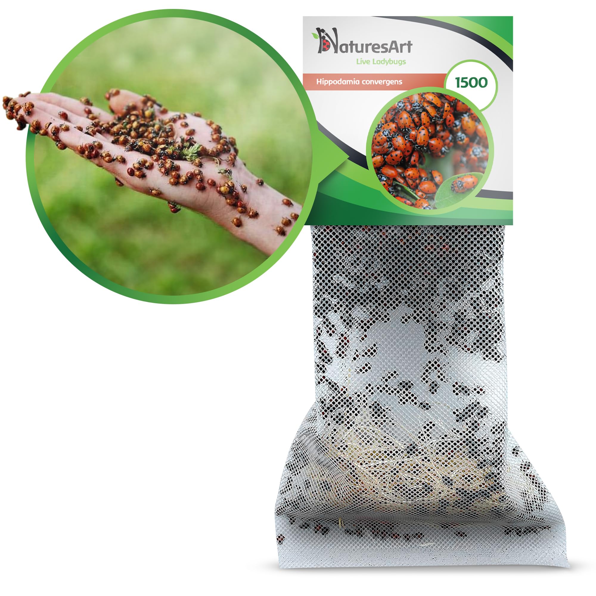 NaturesArt 1500 Live Ladybugs - Good Bugs for Garden - Ladybug - Guaranteed Live Delivery!, AR-18000