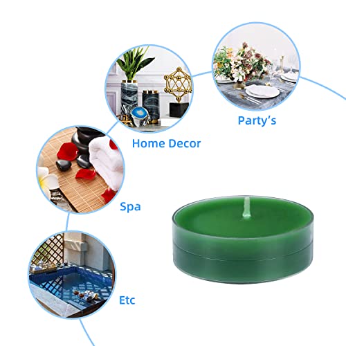Zest Candle 12-Piece Tealight Candles, Mega Oversized Hunter Green s