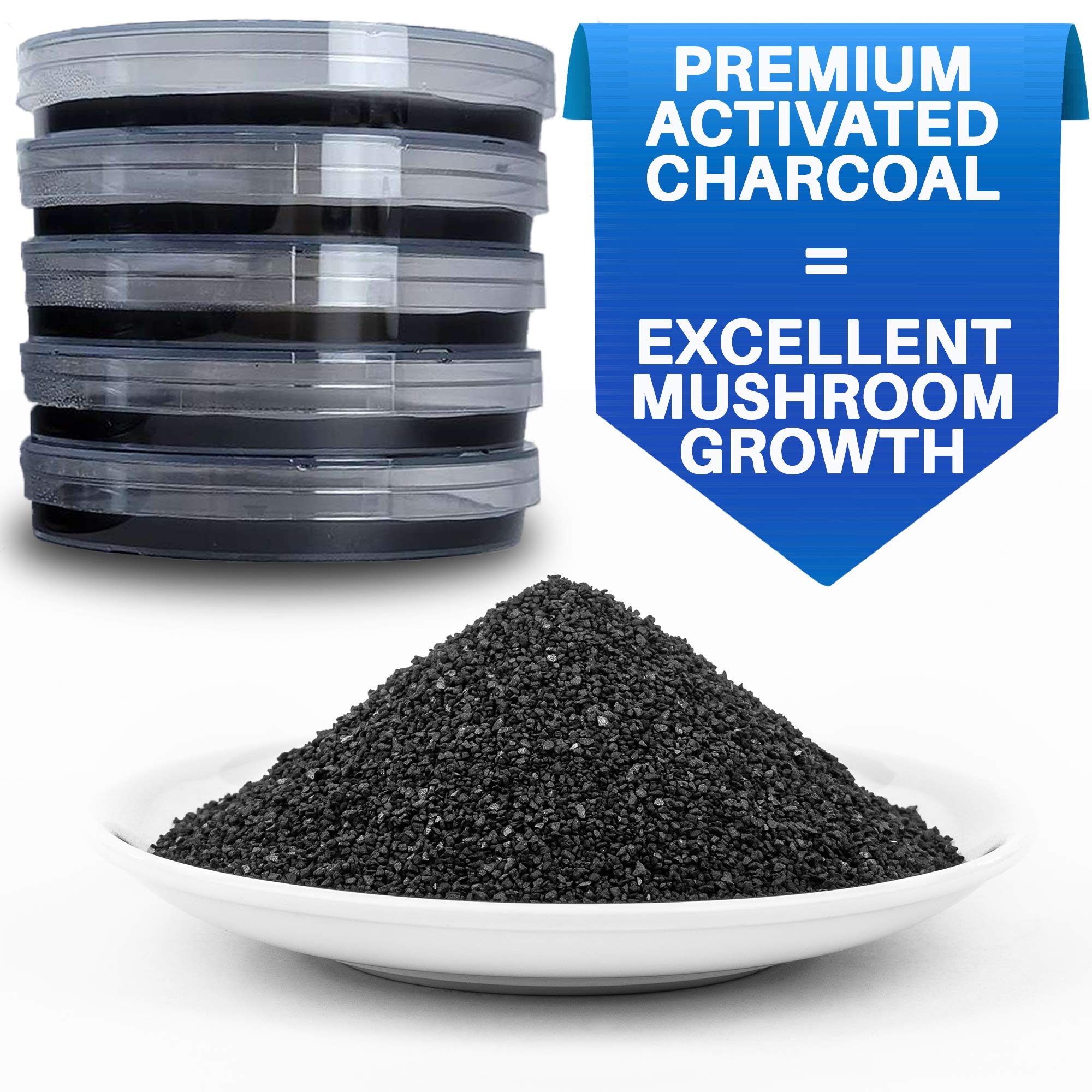 Potato Dextrose Agar Powder With Activated Charcoal 100 Grams - Evviva Sciences - Make Up To 105 Agar Petri Dishes - Excellent Growth Medium for Mushrooms & Science Projects