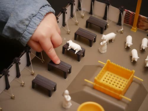 Tabernacle Model Kit - Teaching and learning resource - Old testament - Sanctuary Model Kit