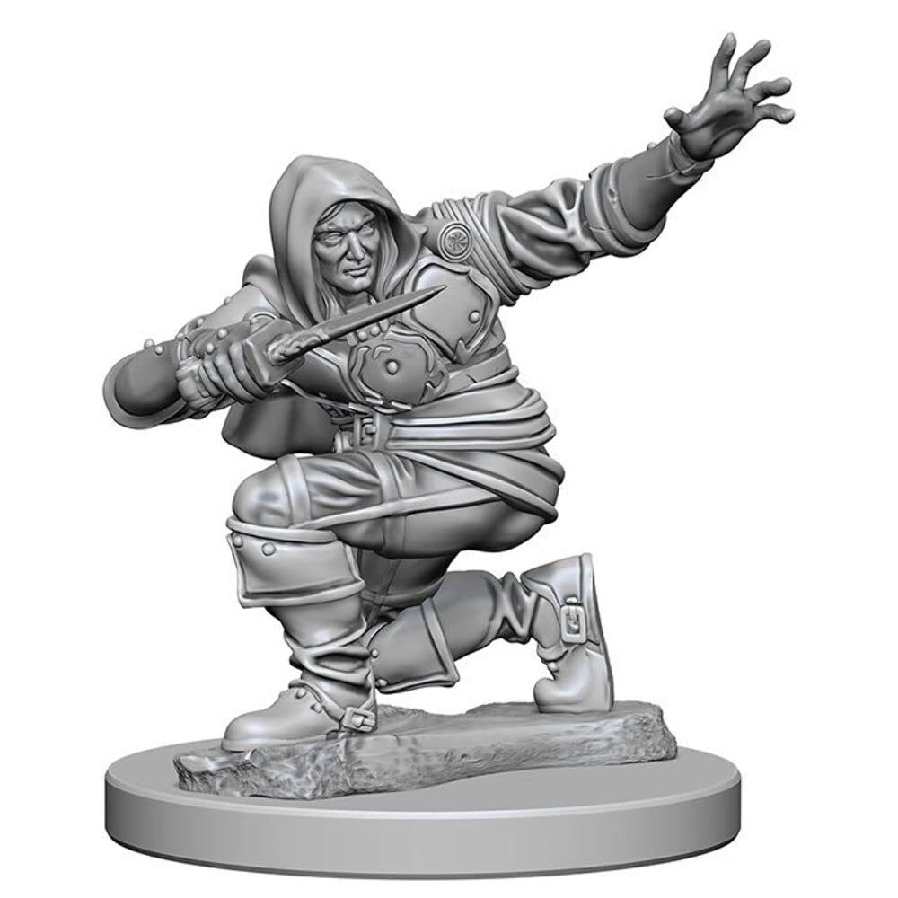 NECA Pathfinder Deep Cuts Unpainted Miniatures: Wave 1: Human Male Rogue