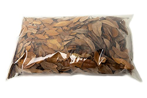 Live Oak Leaf Litter (1 Gallon)