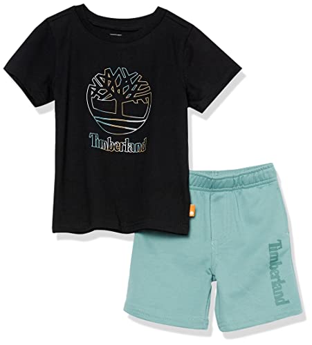 Timberland baby boys 2 Pieces Tee Shorts Set, Deep Black, 12M US