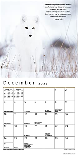 The Power of Now 2023 Wall Calendar: A Year of Inspirational Quotes by Eckhart Tolle | 12" x 24" Open | Amber Lotus Publishing