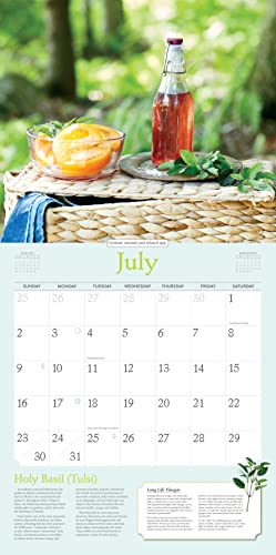 Rosemary Gladstar's Herbs Wall Calendar 2023: Recipes and Remedies for Health and Home