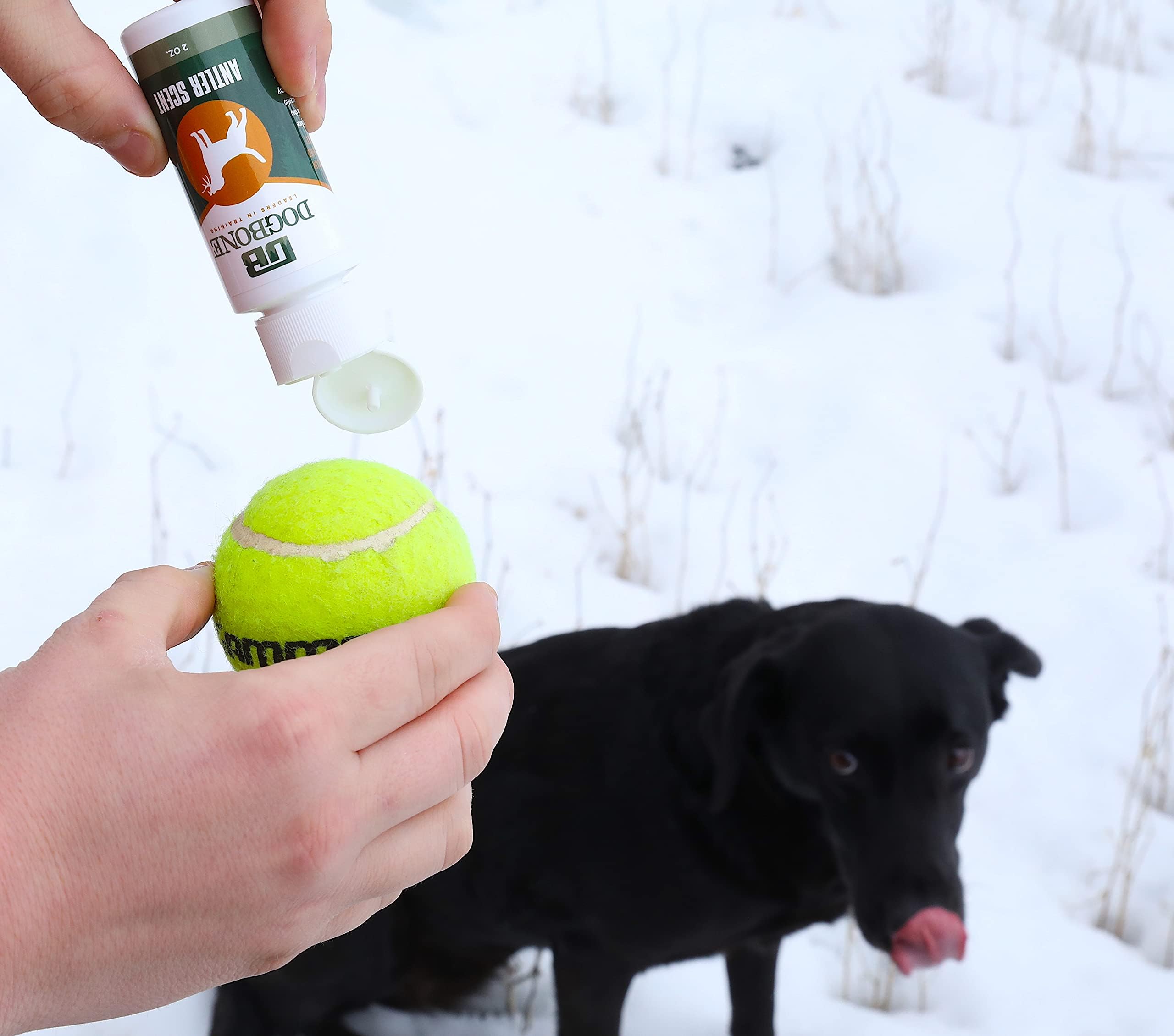 DogBone Antler Scent for Training Your Shed Hunting Dog | Dog Training Kit | Hunting Dog Accessories | Dog Training Tools | Dog Scent Training Kit | Scent Training for Dogs | Hunting Dog Toys