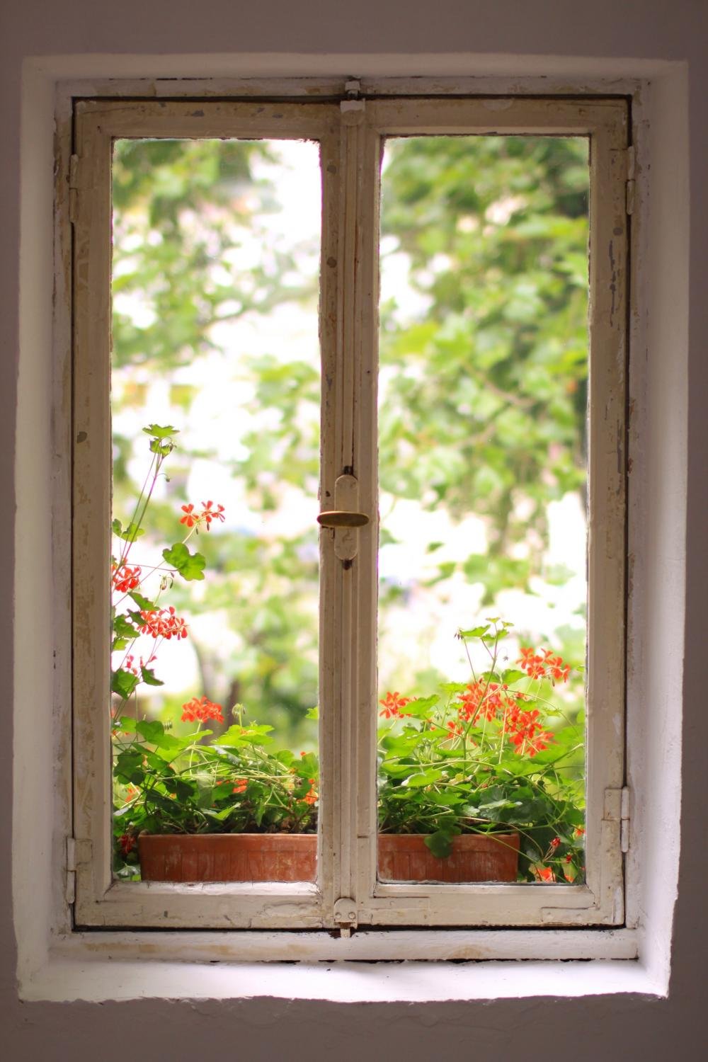 Wallmonkeys WM199818 Window to The Garden Wall Decal Peel and Stick Graphic (36 in H x 24 in W)