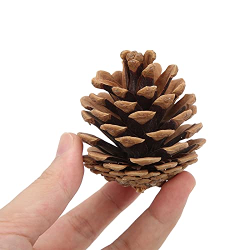 Hztyyier Bunny Chew Toy Rattan Ball Straw Rope Pine Cone for Pets Rabbits Birds Hamster Chinchilla