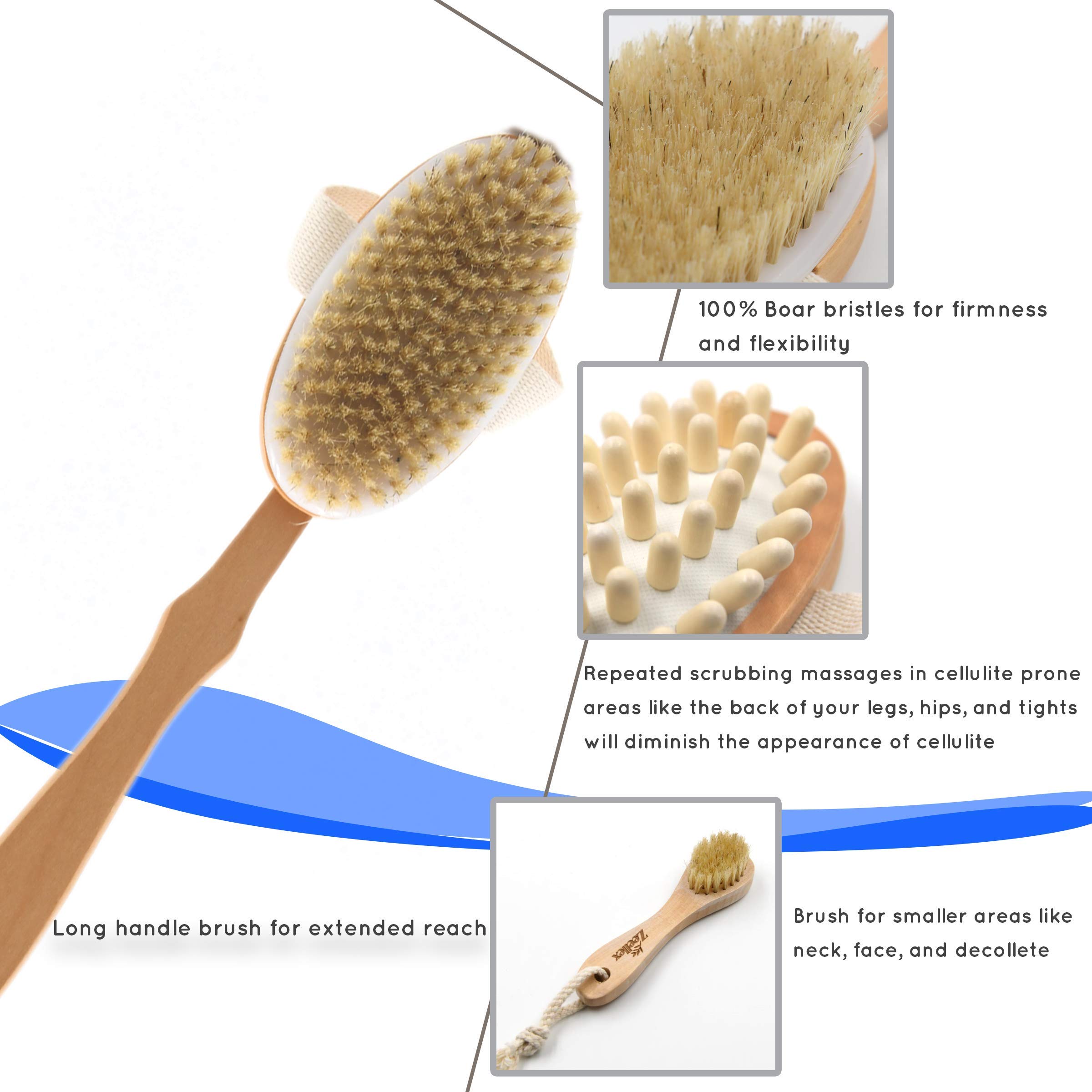 Dry Brushing Body Brush Set for Cellulite & Lymphatic Drainage and Exfoliating Dry Skin -- Premium 100% Natural Boar Bristle Body Brush Set