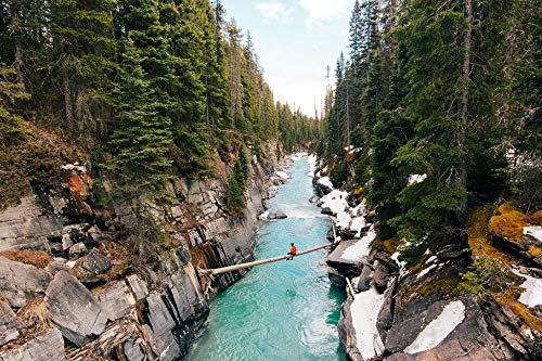Wanderlust: A Hiker's Companion