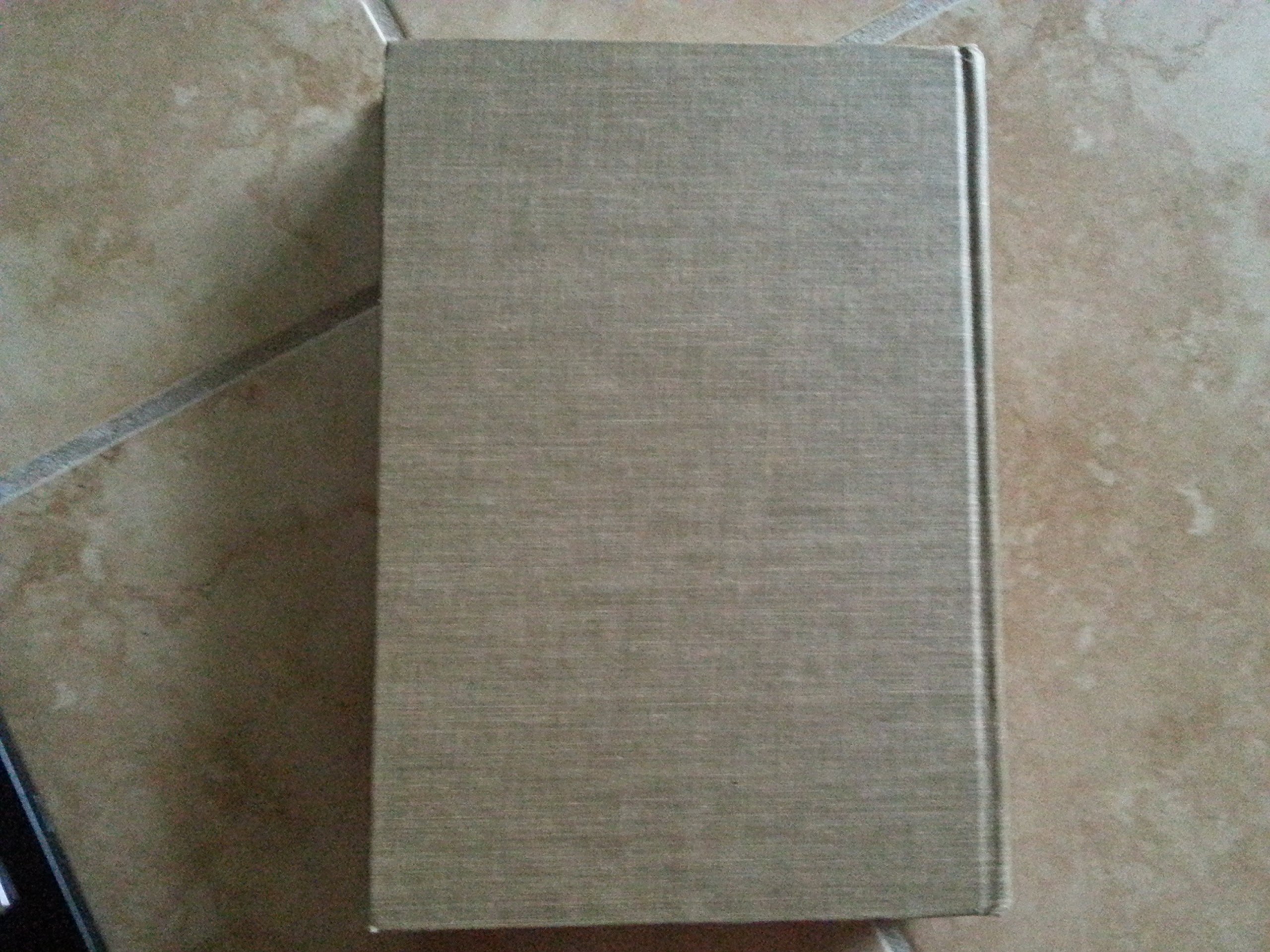 Webster's Dictionary of Synonyms 1st First Edition