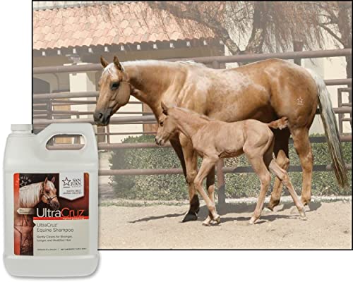 UltraCruz Equine Horse Shampoo, 1 Gallon (sc-395294)