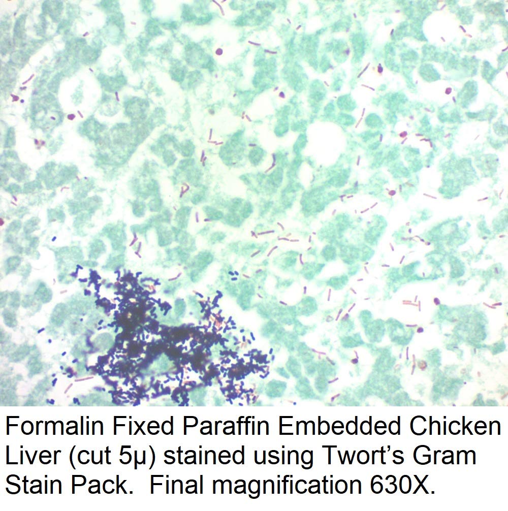 Twort's Gram Stain Pack, 500ml