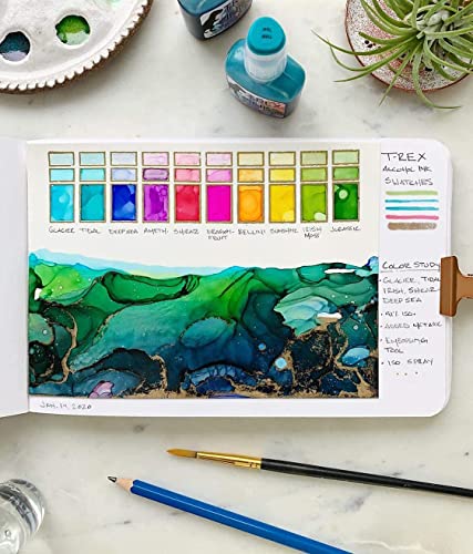 T-Rex Inks Premium Alcohol Inks Starter Set- 12 Vibrant XL Colors - Alcohol Ink for Epoxy Resin Dye, Painting, Tumbler Making & More - Storage Box & Alcohol Ink Blending Solution - 20ml Bottles