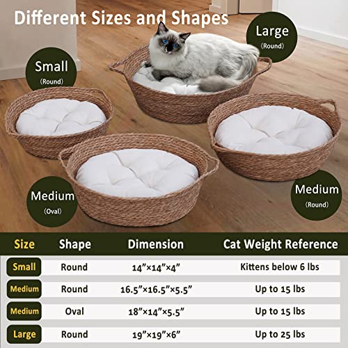 MewMewLand Natural Cat Wicker Bed Basket, Handmade Braided Cattail Leaf Kitten Bed with Soft Cushion Medium Oval