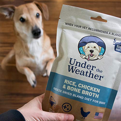 Under the Weather Bland Diet for Dogs | Easy to Digest for Sick Dogs |Always Be Ready| Contains Electrolytes - All Natural Freeze Dried 100% Human Grade Meats| 1 Pack- Chicken, Rice & Bone Broth - 6oz