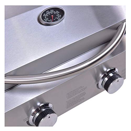 Thaweesuk Shop 2 Burner Portable Stainless Steel BBQ Table Top Propane Gas Grill Outdoor Camp 22β x 18β x 15β