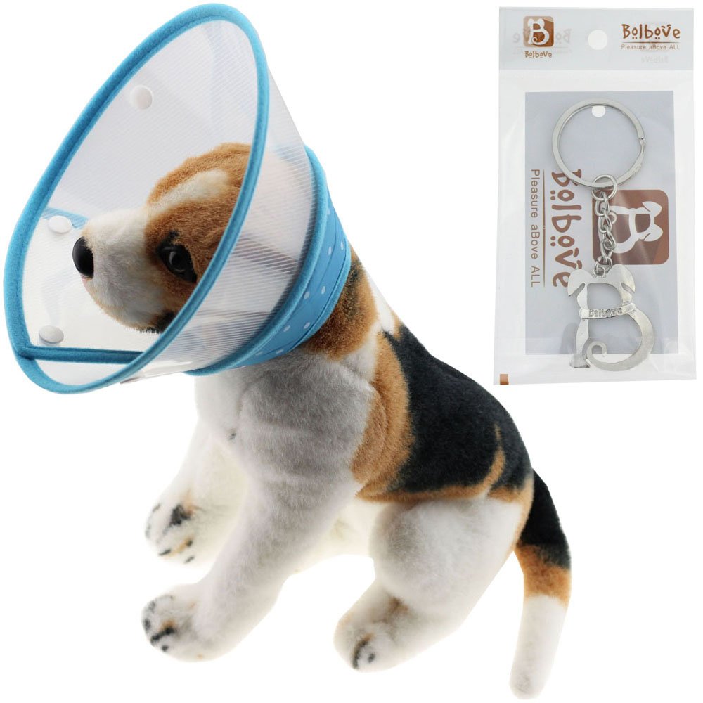 Pet Plastic Clear Cone Recovery E-Collar with Dots Design Soft Edge for Small Dogs & Cats (Small, Blue)