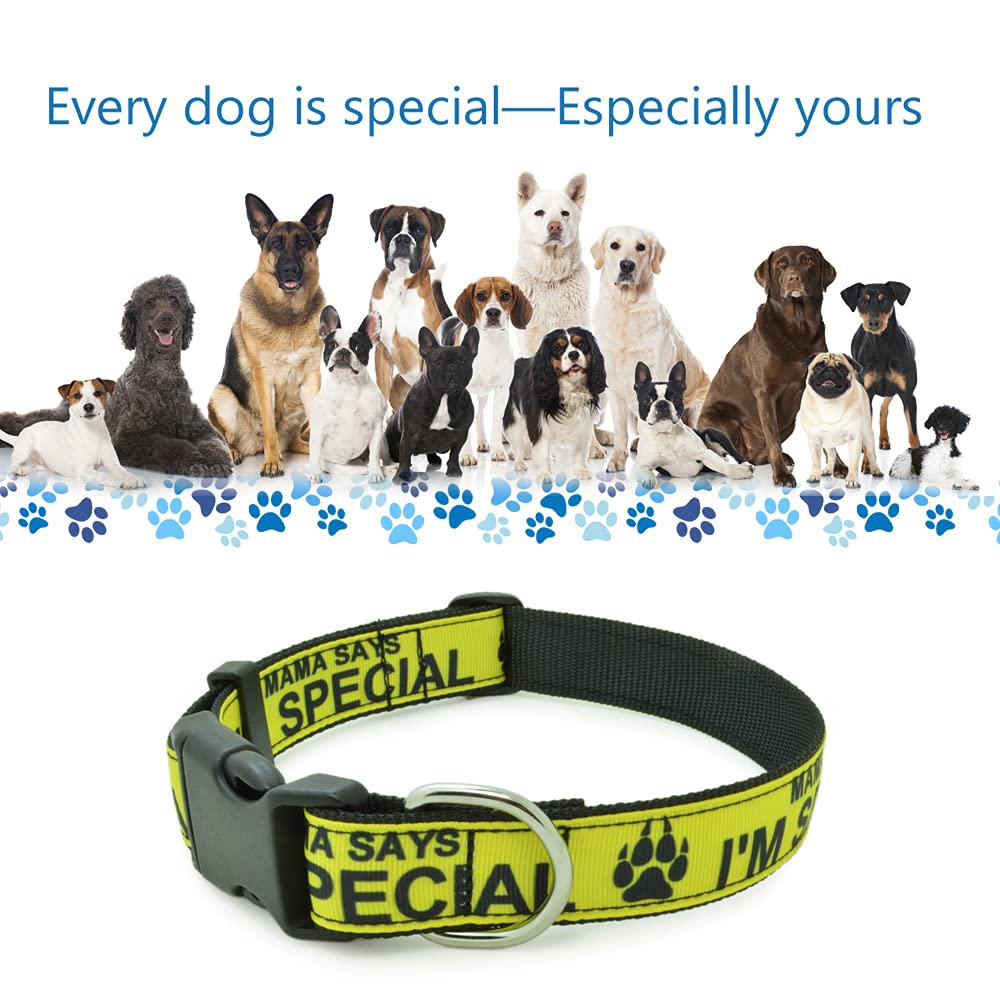 DWOOFG Dog Collar for Mama SAYS I'm Special, Sturdy Durable with Buckle, Yellow Dog Collars for Small Medium Large Dogs, Premium Adjustable Polyester Pet Collar