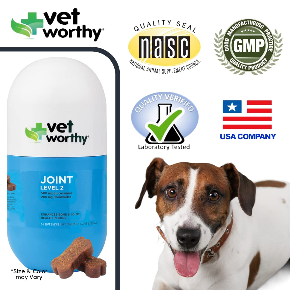 Vet Worthy Joint Support Level 2 | Eases Joint Stiffness Due to Normal Daily Exercise and Activity | Dog Supplement with Glucosamine, Chondroitin, Vitamin C, MSM | Liver Flavor Soft Chews 30 Count