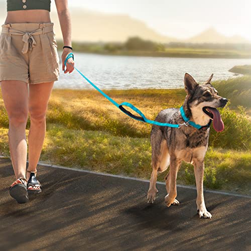 Tpotato Reflective Dog Collar And Leash Set,Adjustable Neoprene Padded Nylon Collars, 6 FT Heavy Duty Dog Leash 2 Comfortable Handles Safety Locking Buckle for Puppy Small Medium Extra Large Breed Dog