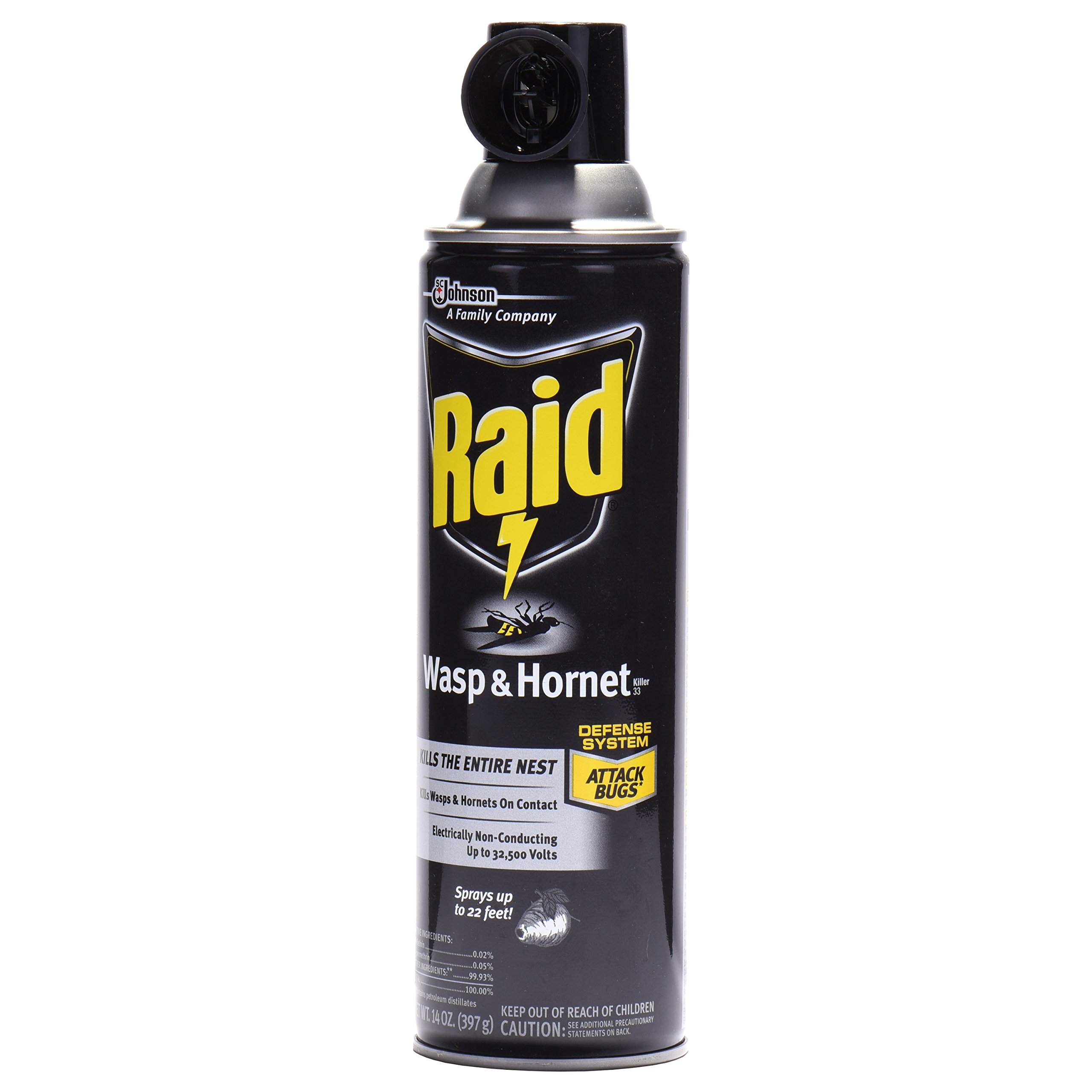 Raid Wasp Hornet Killer Spray (14 Ounce (Pack of 4))
