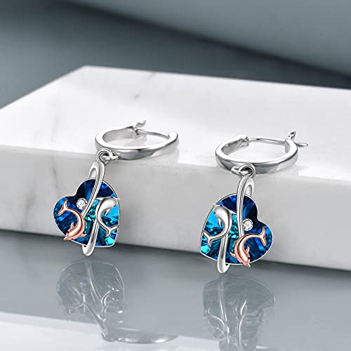 Dolphin Earrings Sterling Silver Crystal Dolphin Hoop Earrings Dolphin Jewelry Gifts for Women Daughter