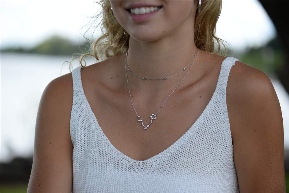 espere Sterling Silver Zodiac Necklace Constellation Jewelry Birthday Gift Sorority Sister Gift [Pisces - Feb 19 - Mar 20]