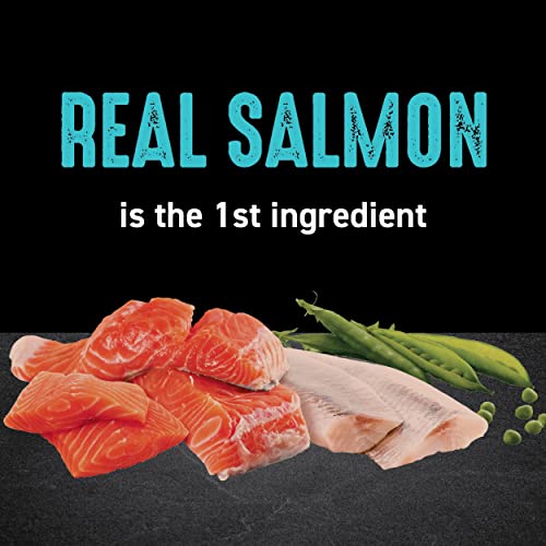 CRAVE Grain Free Adult High Protein Natural Dry Cat Food with Protein from Salmon & Ocean Fish, 10 lb. Bag