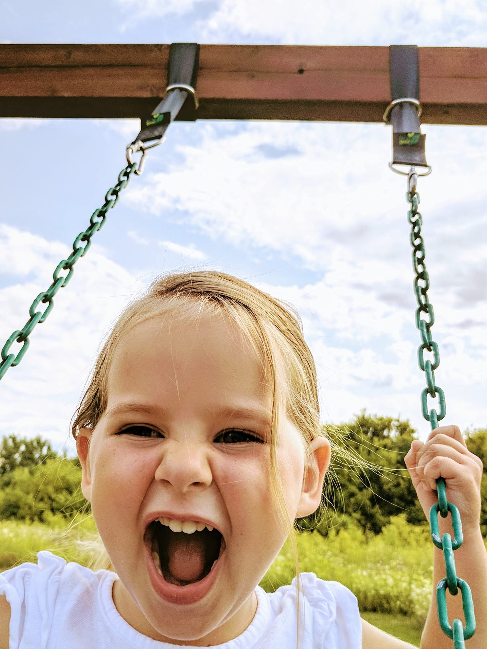 DCAL Gear Tree Swing Hanging Straps Kit - Easy & Fast Installation - 5ft Extra Long Straps Hold 2000 lb - Safer Lock Snap Carabiner Hooks Perfect to Tree Swing, Swing Sets, Tire Swing & Hammock