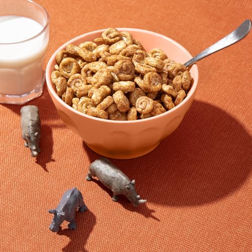 EnviroKidz Rhino Rolls Organic Cinnamon Bun Cereal,9.5 Ounce,Gluten Free,Non-GMO,EnviroKidz by Nature's Path