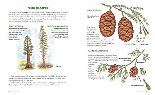 The Tree Book for Kids and Their Grown-Ups
