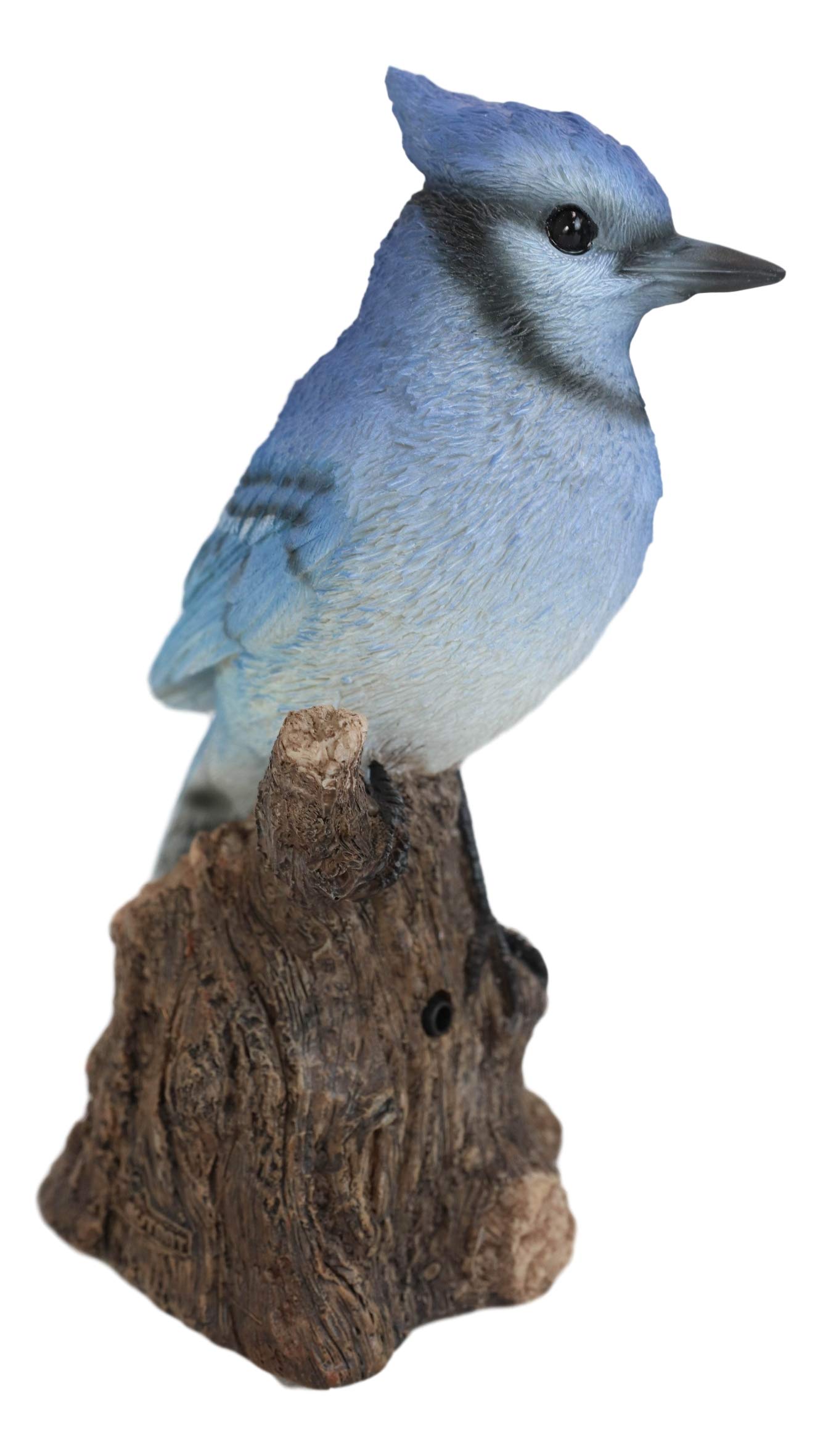 Ebros Gift Realistic Hand Painted Blue Jay Passerine Bird Perching On Tree Stump Guest Greeter With Built In Motion Activated Sensor Chirping Sound Statue 6.25"Tall Taxidermy Home And Garden Sculpture