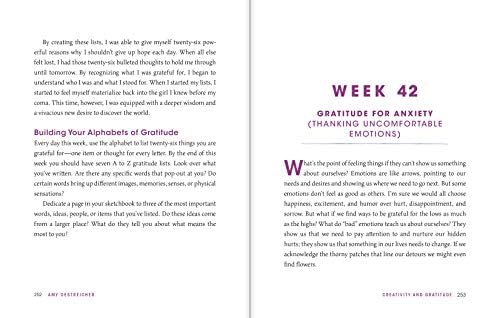 Creativity and Gratitude: Exercises and Inspiration for a Year of Art, Hope, and Healing
