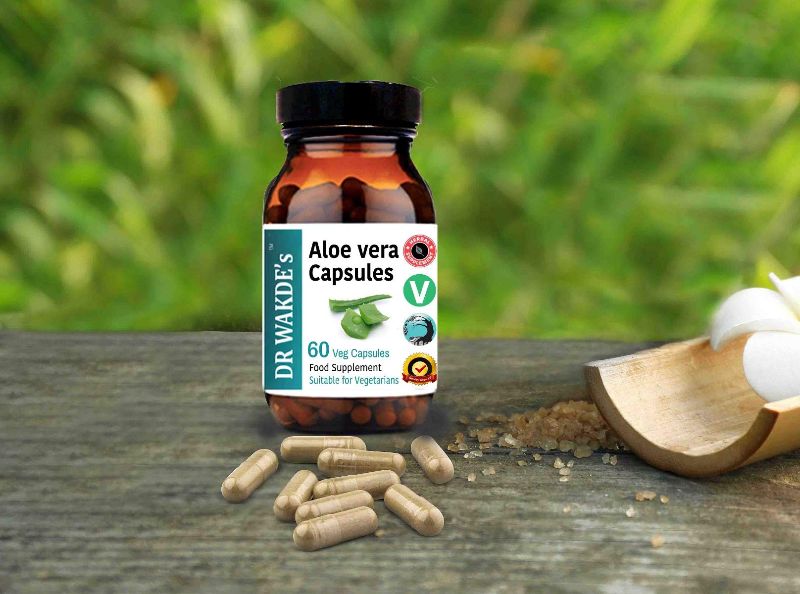 DR WAKDE'S Rasna Capsules (Pluchea lanceolata, 60 Veg Caps, Plant-Based Supplement, Ayurvedic Herb, All Natural, Vegan)