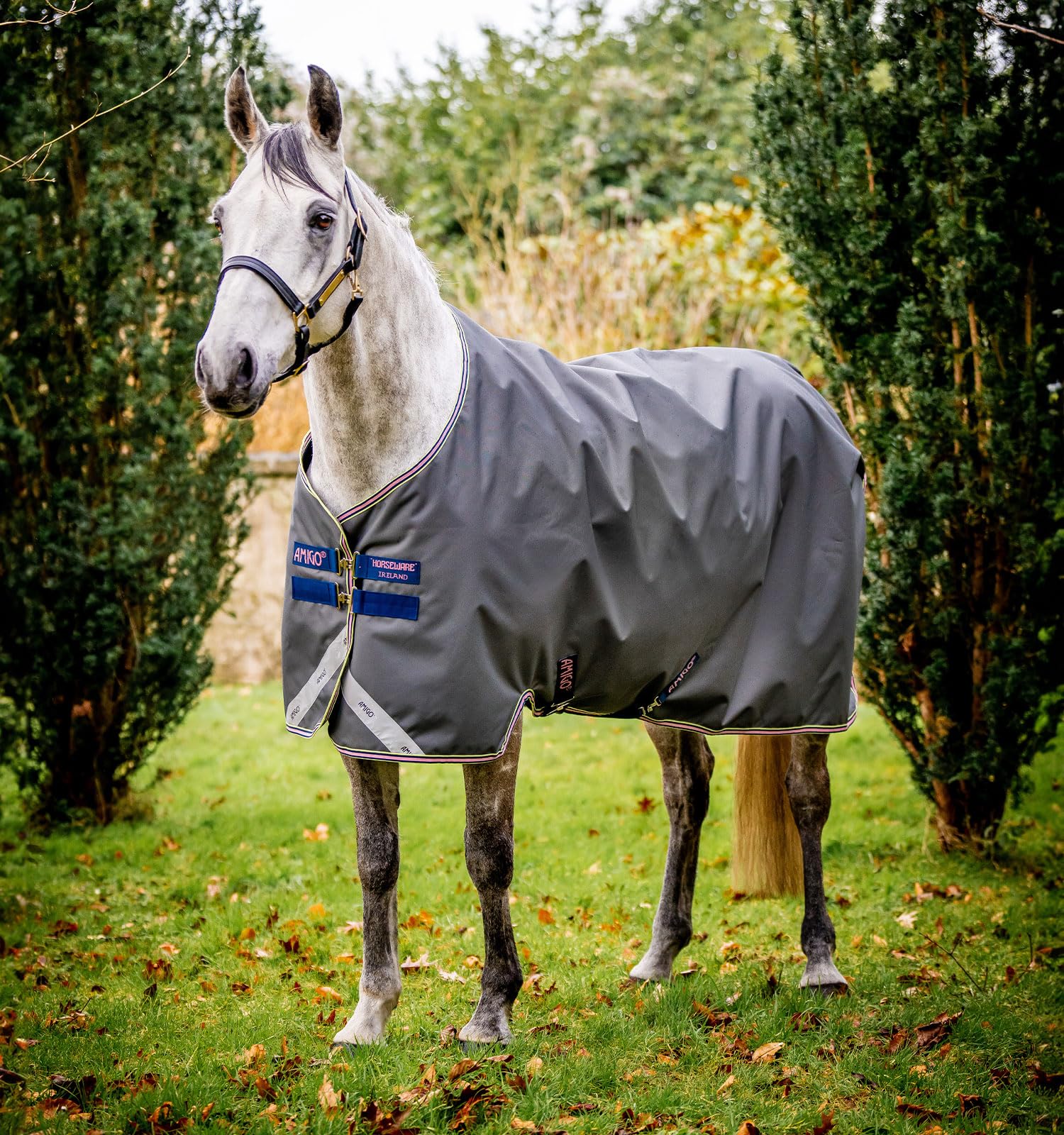 Horseware® Amigo® Bravo 12 Original Turnout Horse Blanket (0g Light)