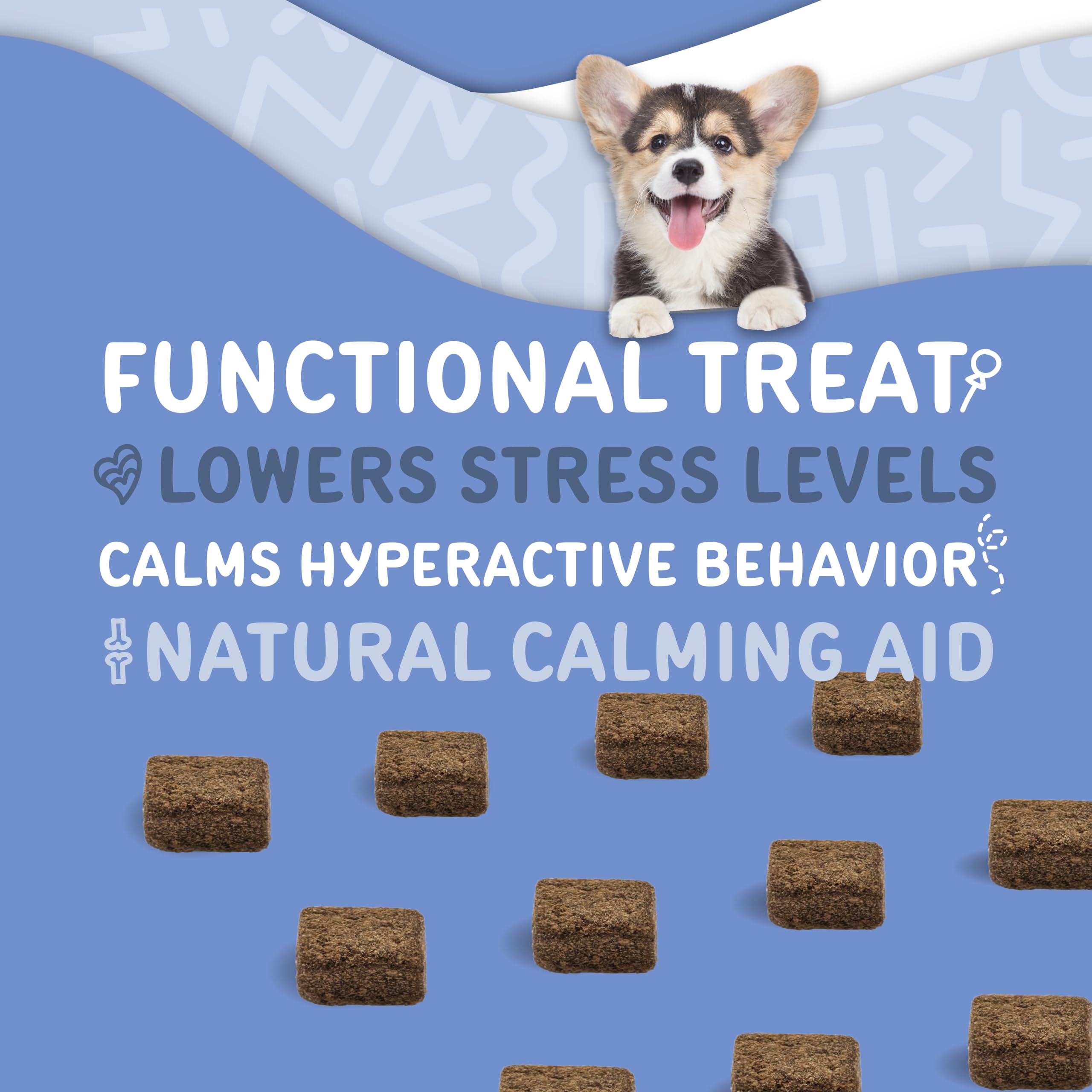 waggedy Great Start Puppy Bundle Multivitamin & Calm Aid – Large or Small Breed Puppy Supplement: Stress, Anxiety, Joint, & Immune System Support (One to Two Month Supply) 120 Puppy Treats
