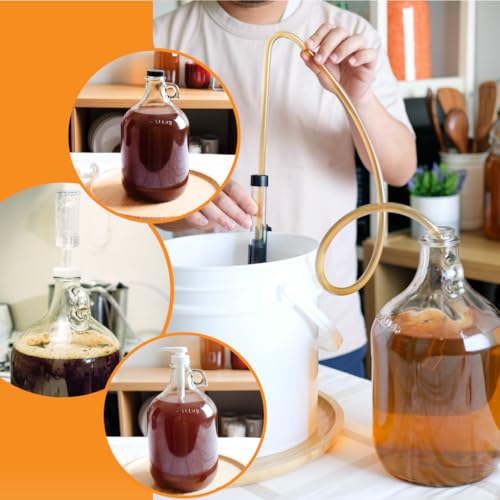 FastRack Stopper/Airlock 1 Gallon Glass Fermenter/Jug, Clear