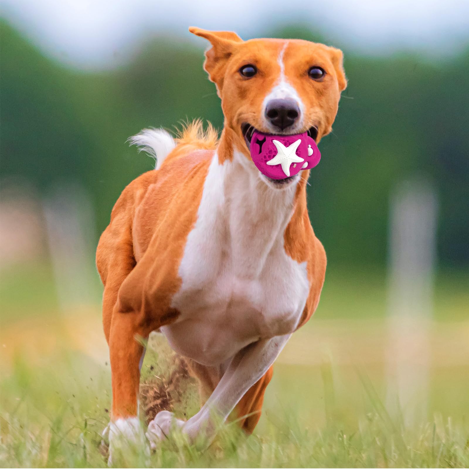 ROYAL PETS USA Indestructible, Durable & Tough Octopus Dog Chew Toy for Aggressive Chewers. Slow Treat Dispensing Interactive Toys for Small, Medium & Large Breed with 100% Natural Rubber & Flavor.