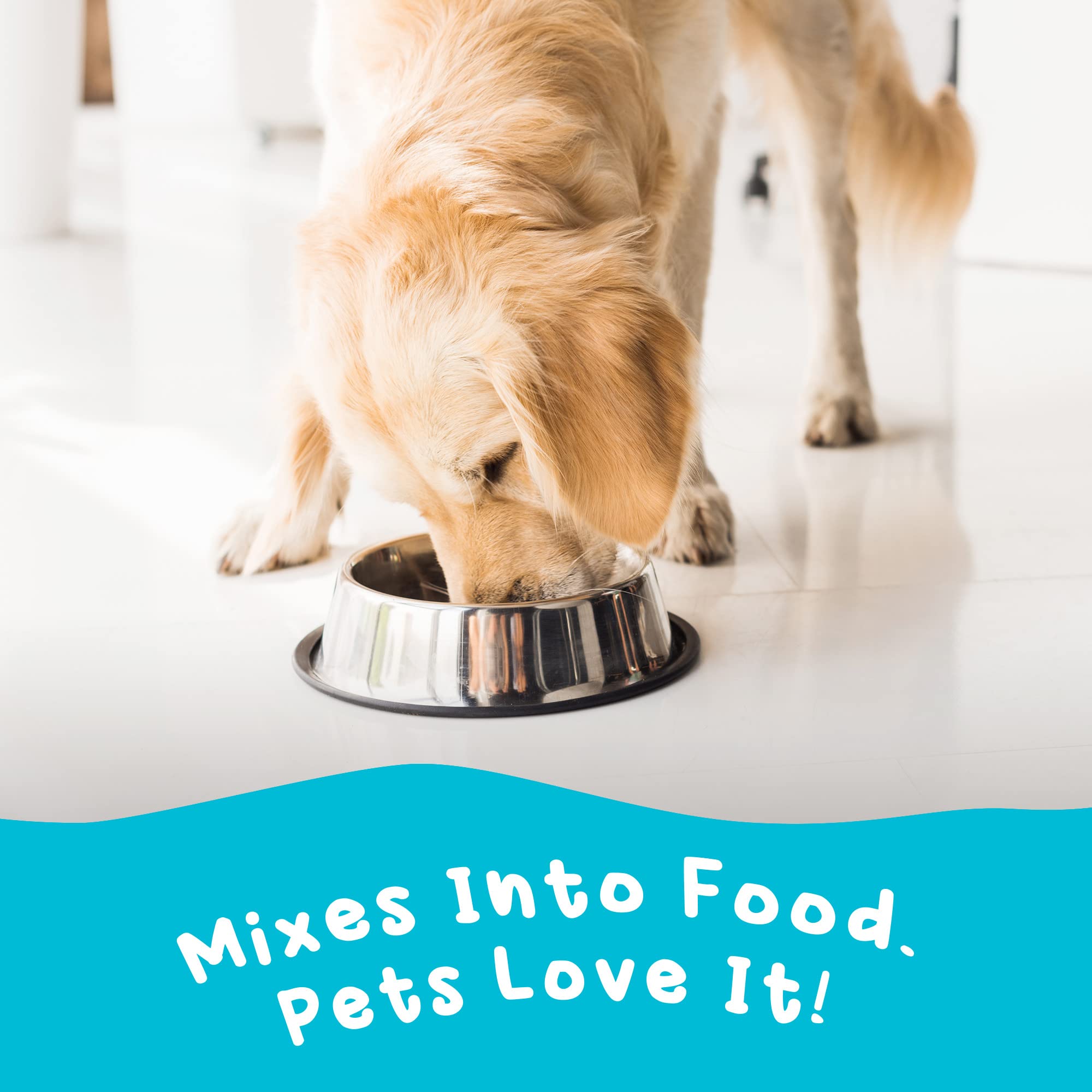 Omega 3 Fish Oil for Dogs and Cats | Premium Quality Omega 3 Supplement for Dogs and Cats (16 Ounce)
