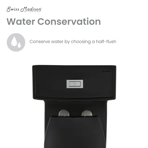 Voltaire One-Piece Elongated Toilet Dual-Flush 1.1/1.6 gpf in Matte Black