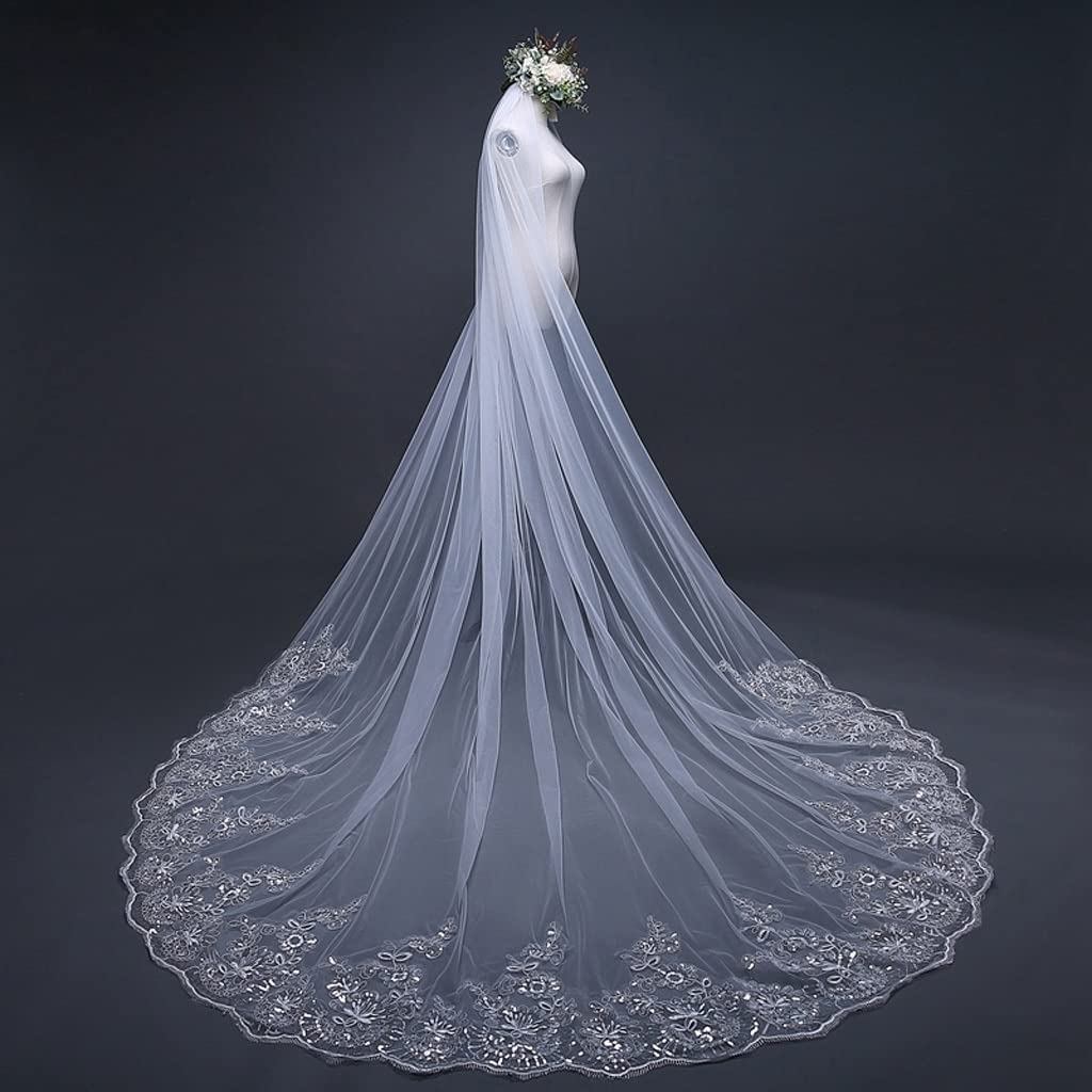 HOUKAI JIAMEI 4Meter Cathedral Wedding Veils Long Lace Edge Bridal Veil with Comb Accessories (Color : D, Size : 4 M)
