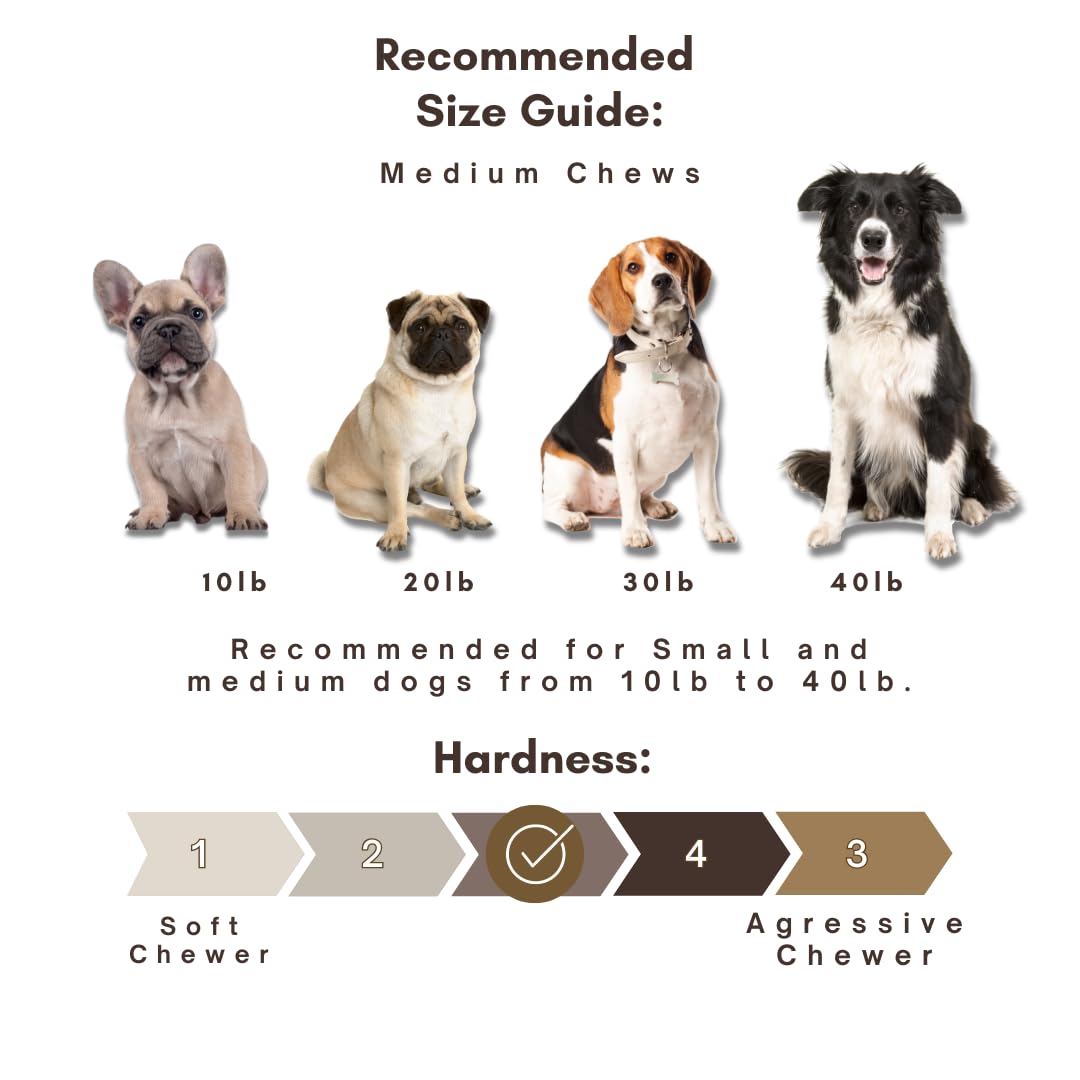WhiteTail Naturals - Yak Cheese Dog Chews - Long Lasting Tough Dog Bones for Aggressive Chewers & Teething Puppies - All Natural Himalayan Dental Milk Chew Bone (6, Medium)
