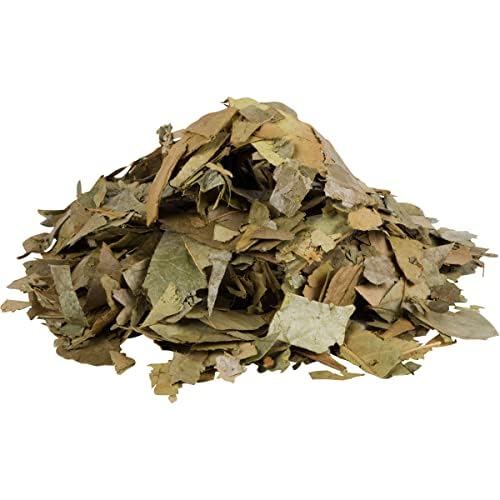 Graviola Tea 25 Teabags of Natural Soursop Leaves or Hojas de Guanabana from Peru β Herbal Tea te guyabano